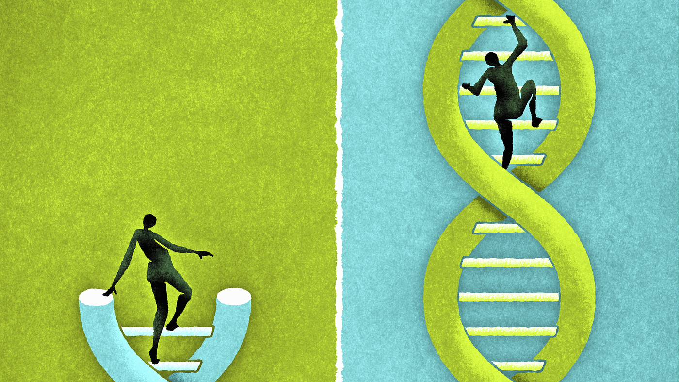 Scientists Urge Temporary Moratorium On Human Genome Edits : Shots ...