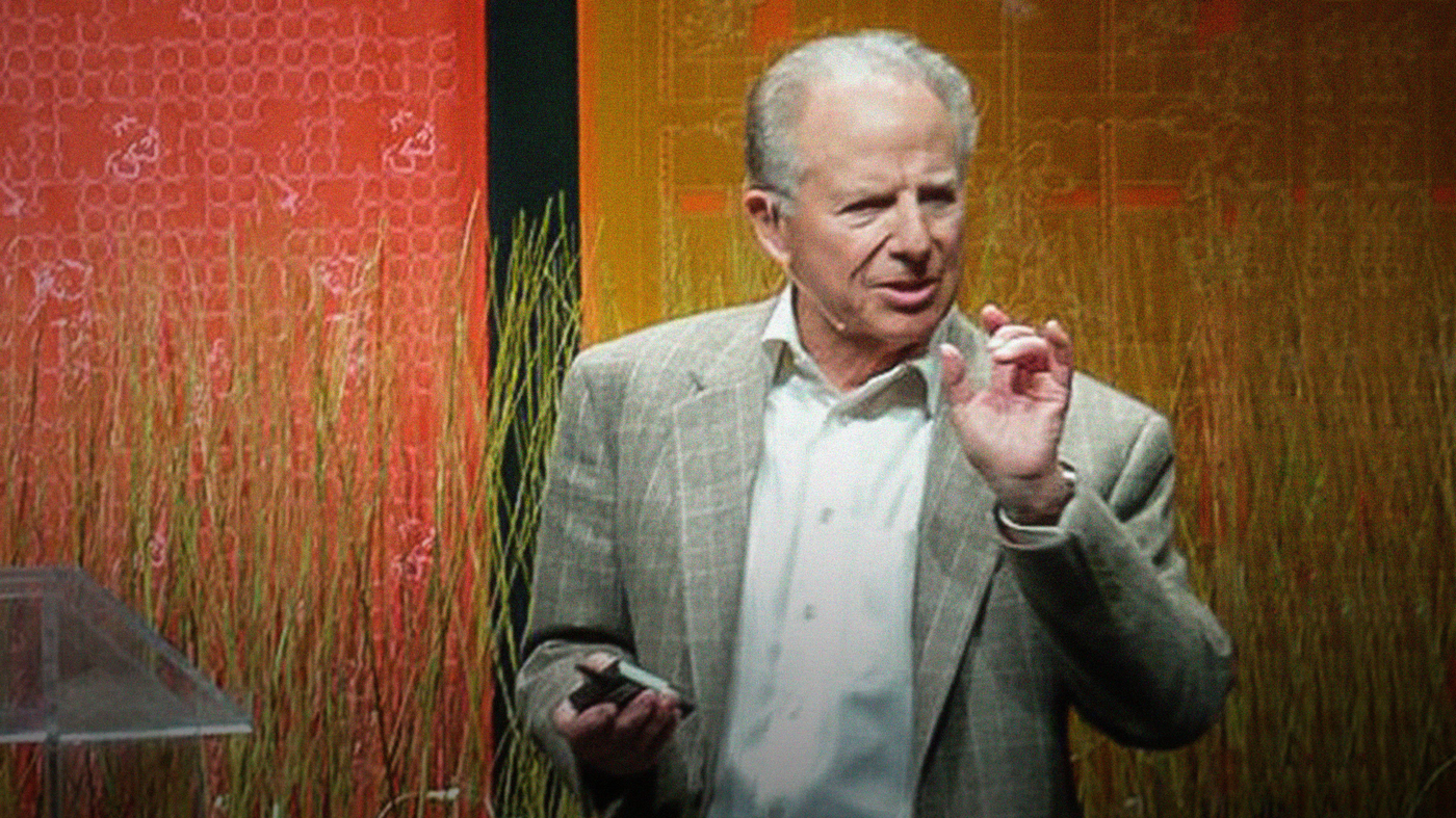 Stuart Brown: How Does Play Shape Our Development? : NPR