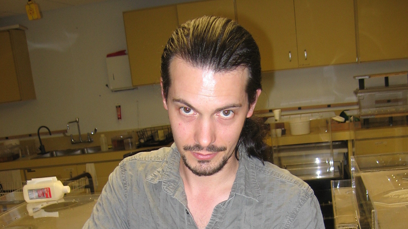 'Super-Termite' Could Be Even More Destructive Than Parent Species : NPR