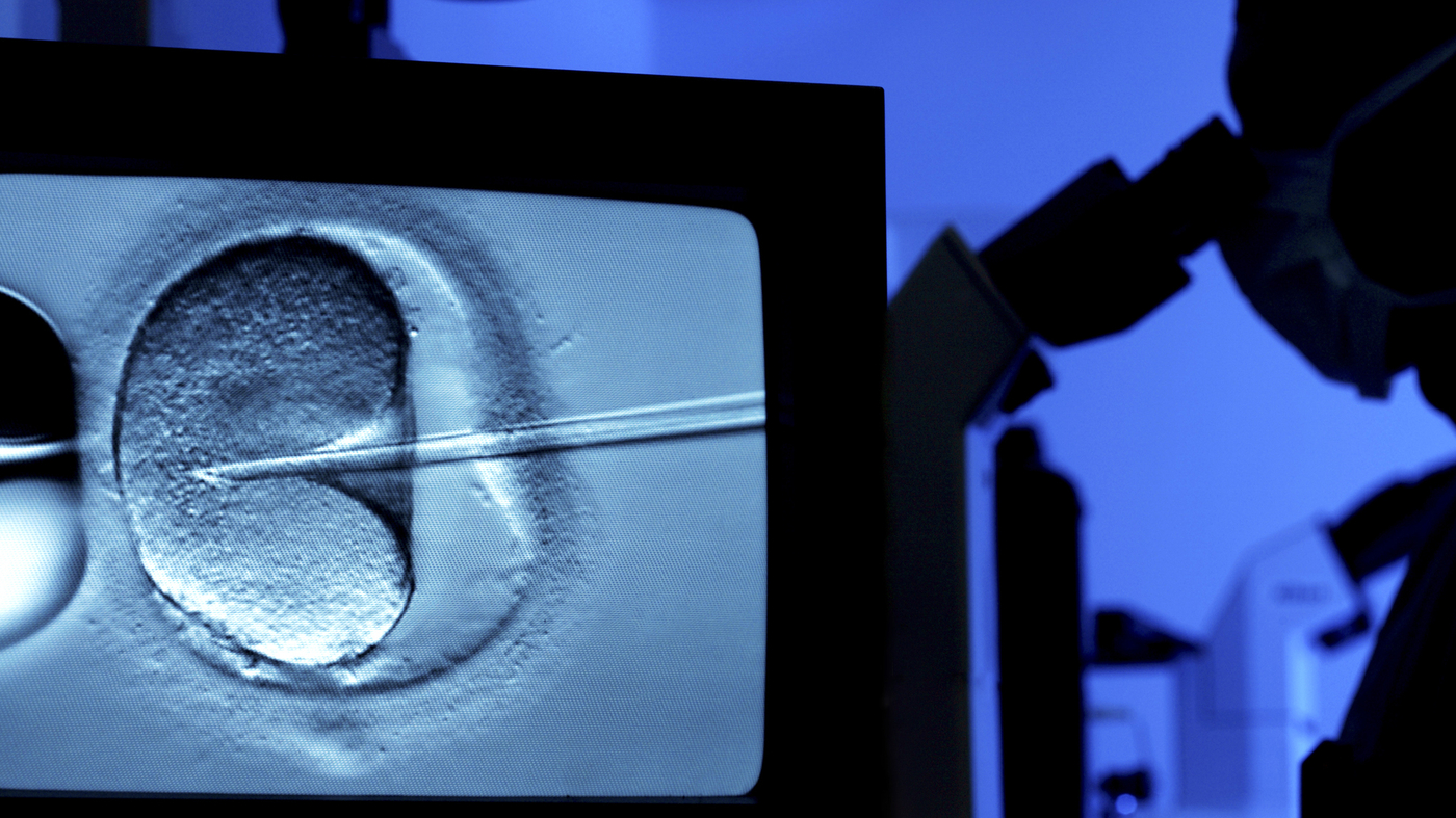 What's My Chance Of Having A Baby? A Better Predictor Of IVF Success ...