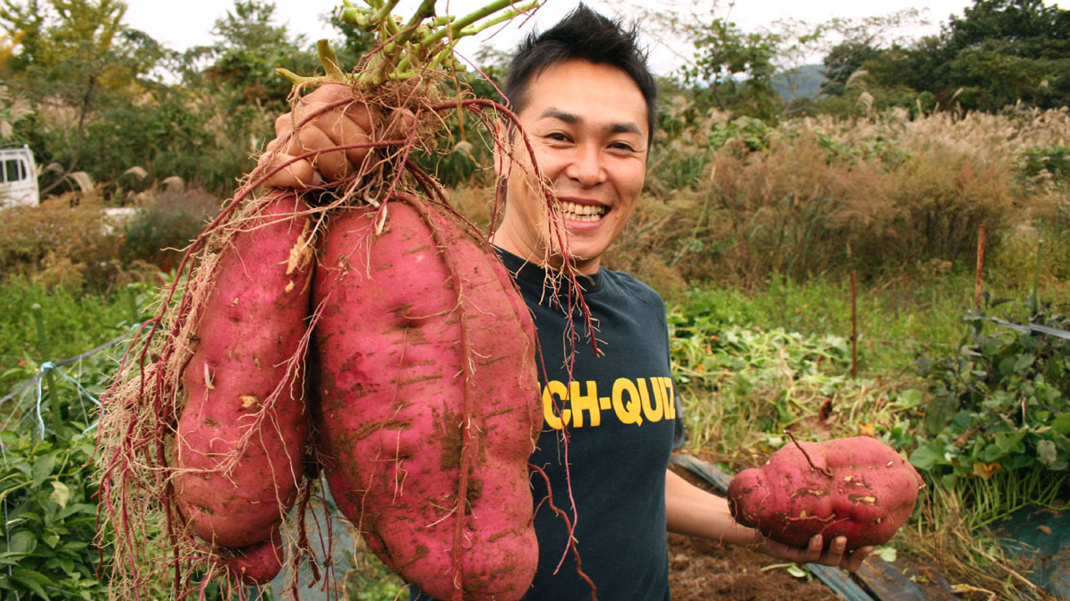 Natural GMO? Sweet Potato Genetically Modified 8,000 Years Ago : Goats ...