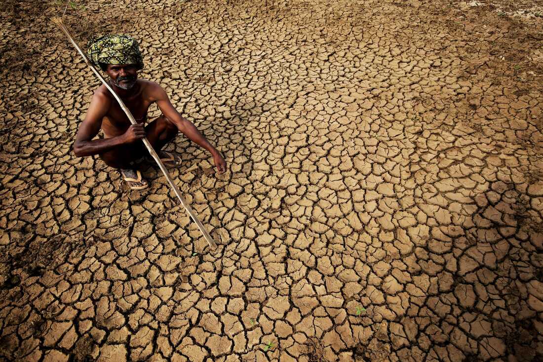 Heat Wave Claims More Than 750 Lives In India : The Two-Way : NPR