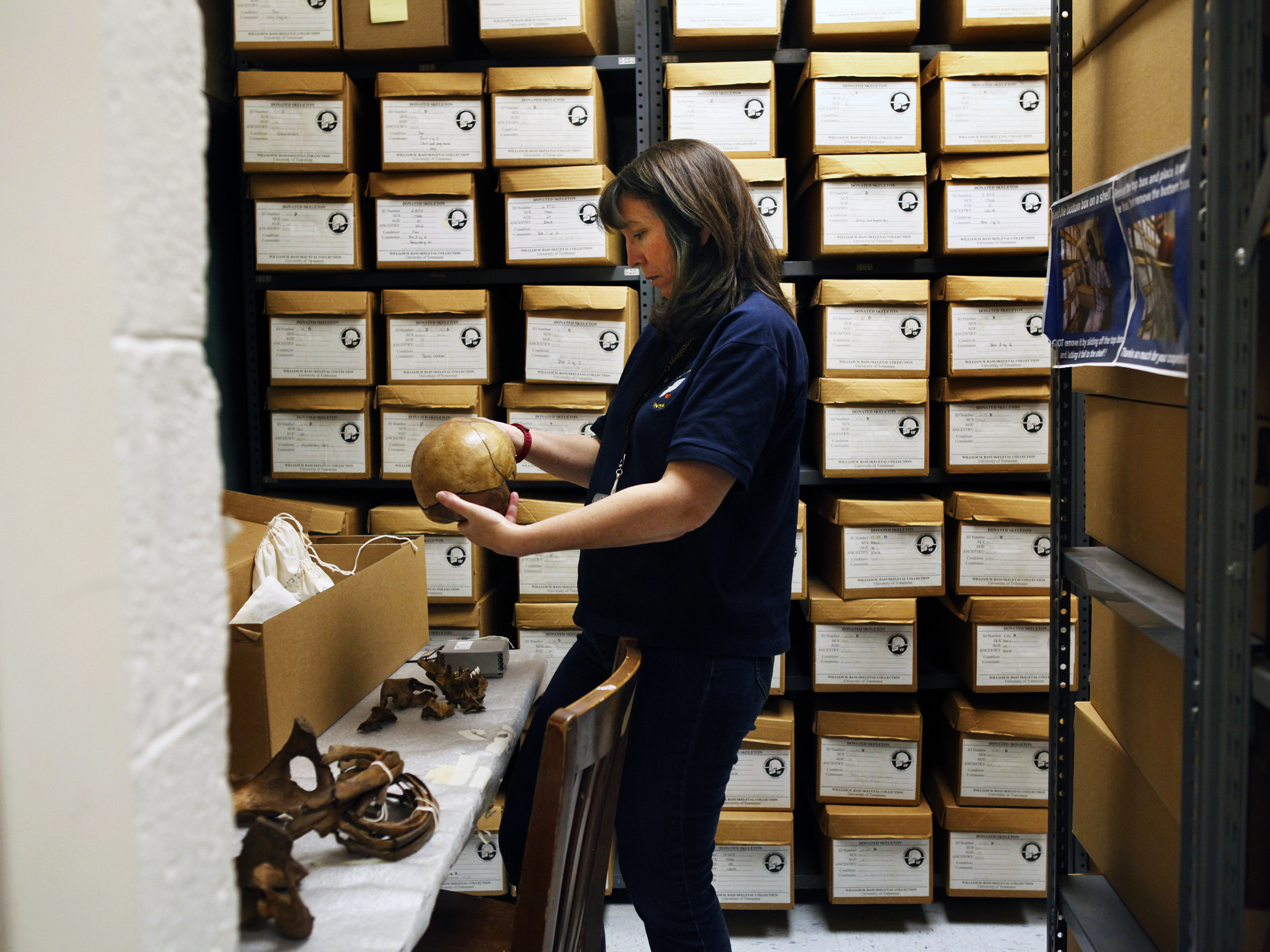 If These Bones Could Talk: The Stories Human Skeletons Can Tell | NCPR News