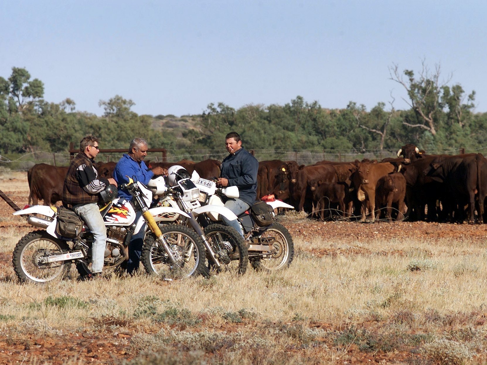 For Sale: 1.6 Percent Of Australia, Including World's Biggest Cattle ...