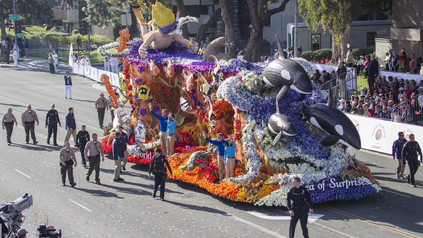 PETA Says Undercover SeaWorld Employee Posed As Animal Rights Activist ...