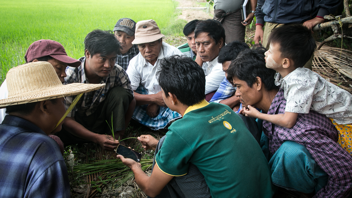 Smartphones Bring Happiness And Headaches To Myanmar : Goats and Soda : NPR