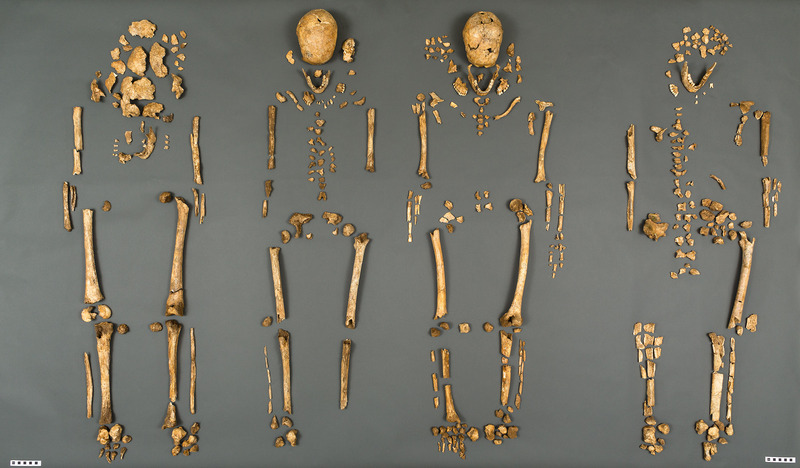 Bones In Church Ruins Likely The Remains Of Early Jamestown's Elite : NPR