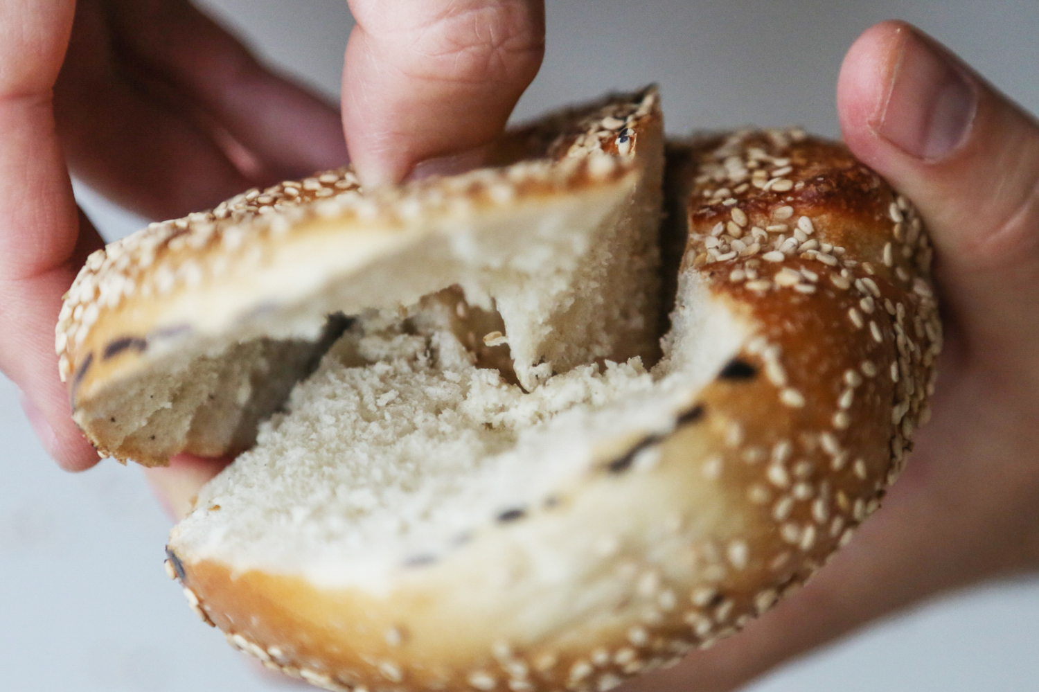 Cut Your Bagel The Mathematically Correct Way | NCPR News
