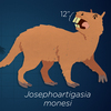 Scientists Discover Prehistoric Giant Otter Species In China : The Two ...