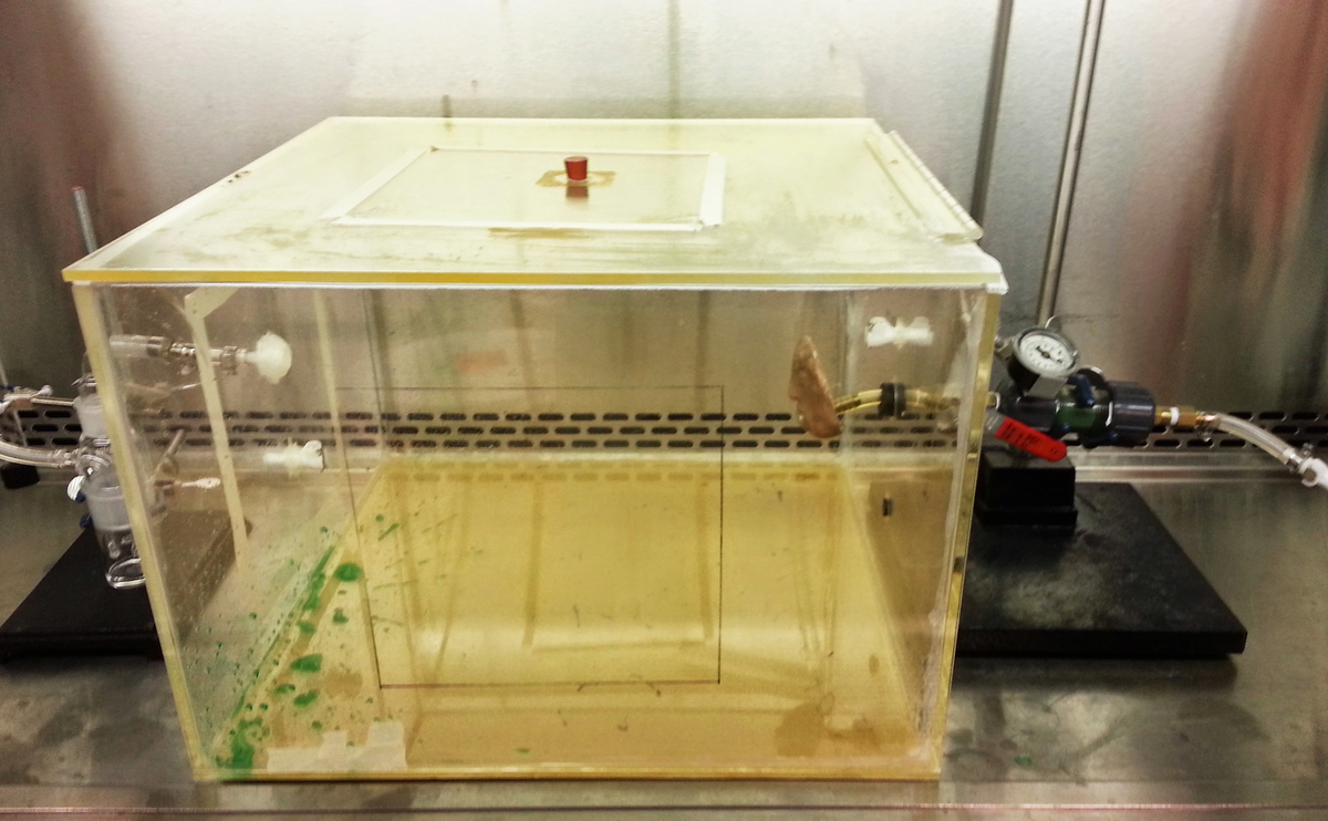 Scientists Create Vomiting Machine To Learn How Norovirus Spreads ...