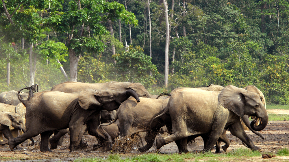 Morning Edition for August 20, 2015 : NPR