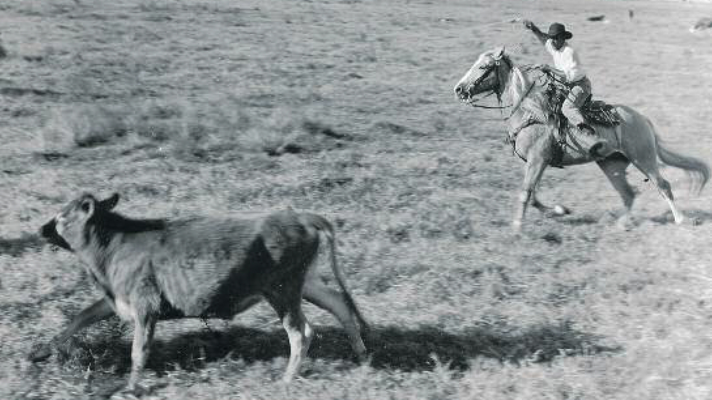 The Black Cowboys Of Florida : NPR History Dept. : NPR