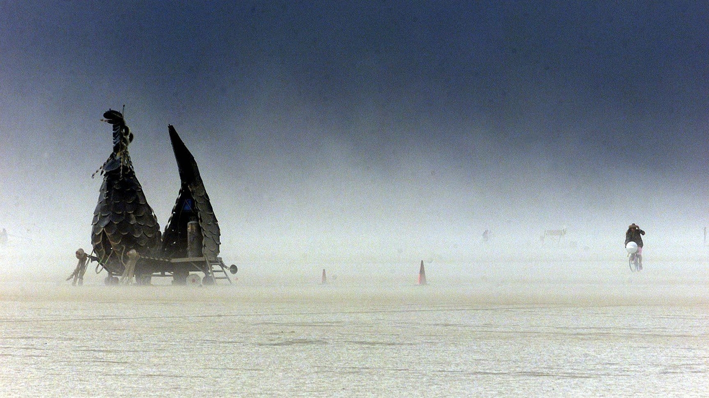 Bugs Leave As Quickly As They Swarmed In Days Before Burning Man : NPR