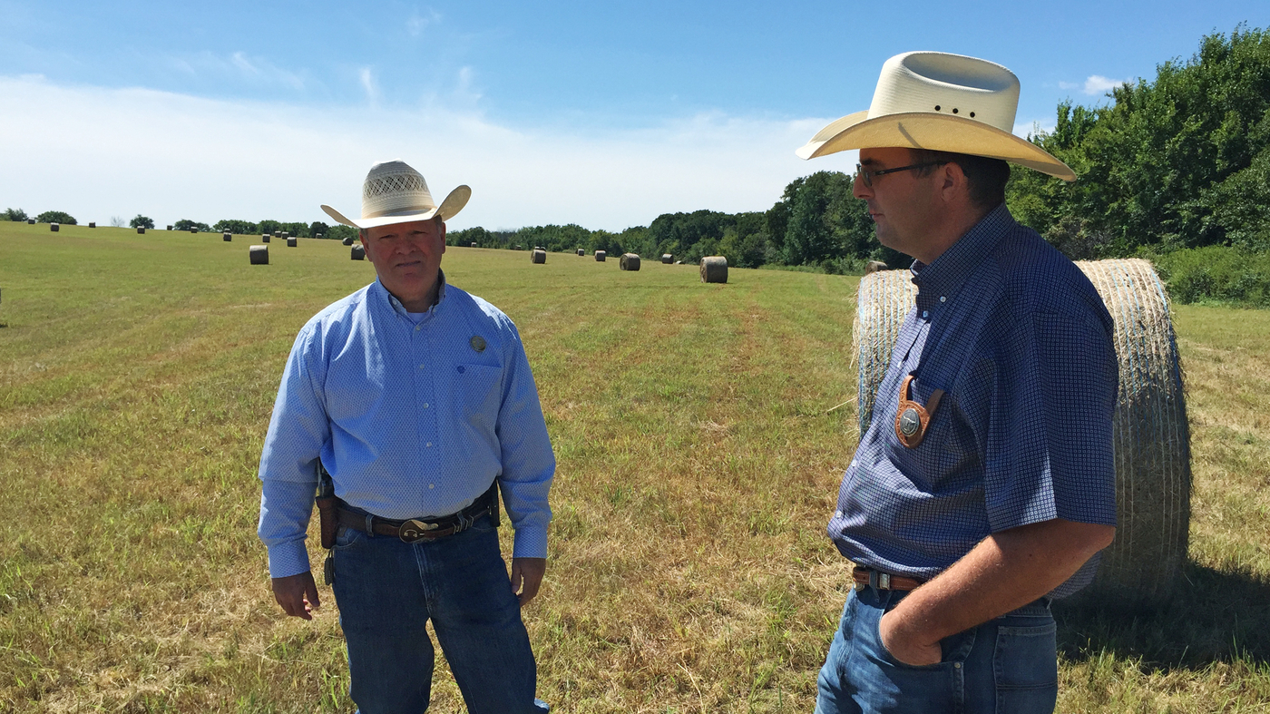 Cattle Theft: An Old Crime On The Rise : The Salt : NPR