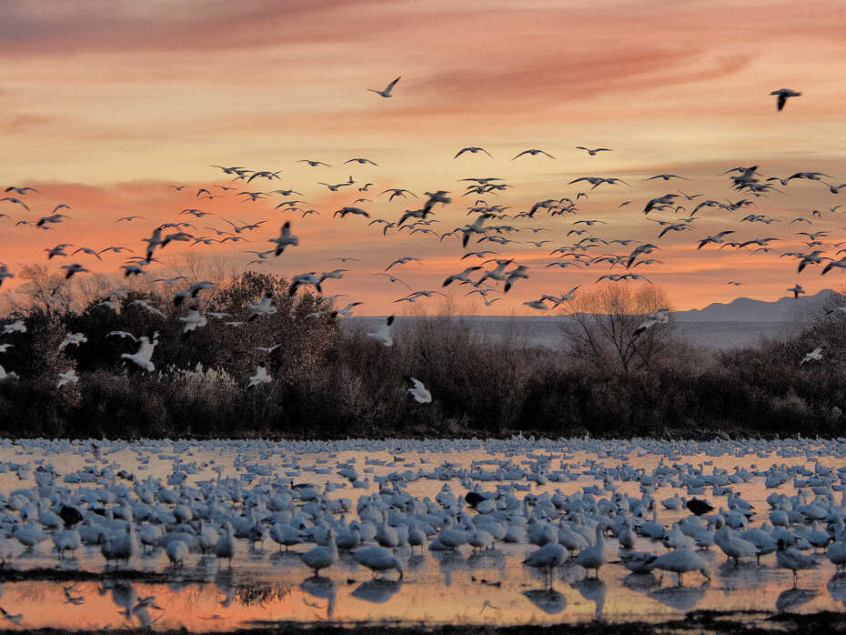 What Does Daybreak Sound Like Where You Live? : NPR