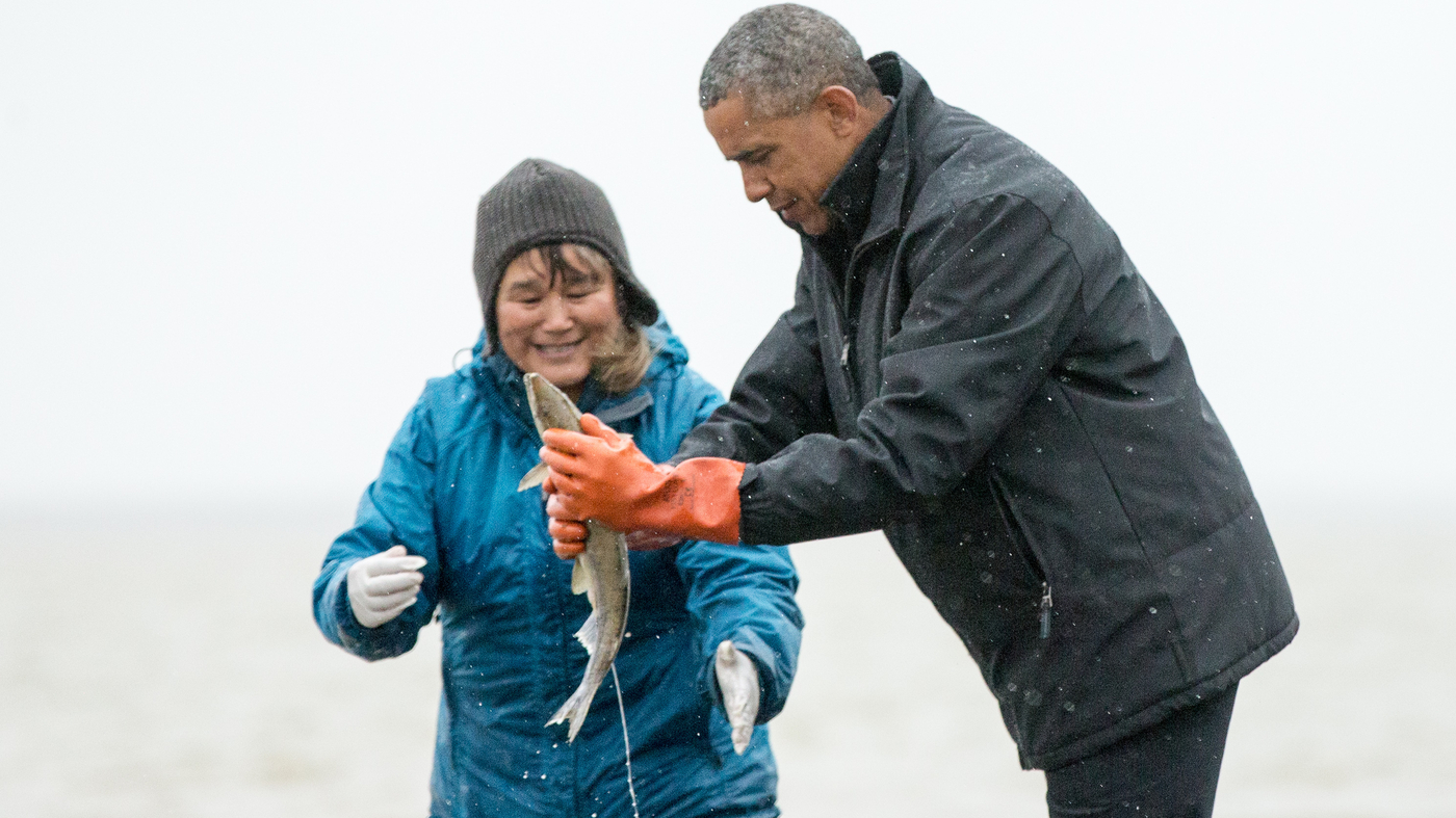 Obama's Fish Tale: Spawned On By A Salmon : The Two-Way : NPR