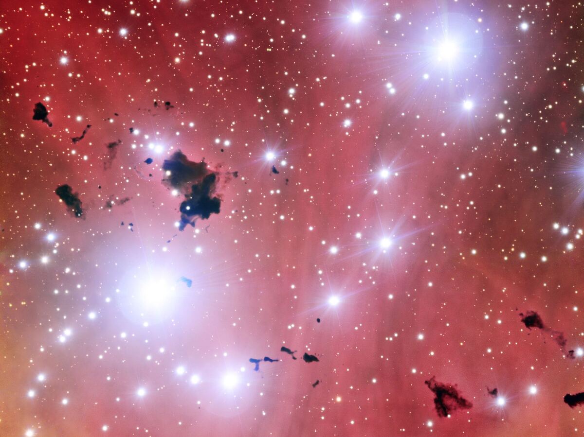 Moving From Creation Of The Cosmos To Human Life : 13.7: Cosmos And ...