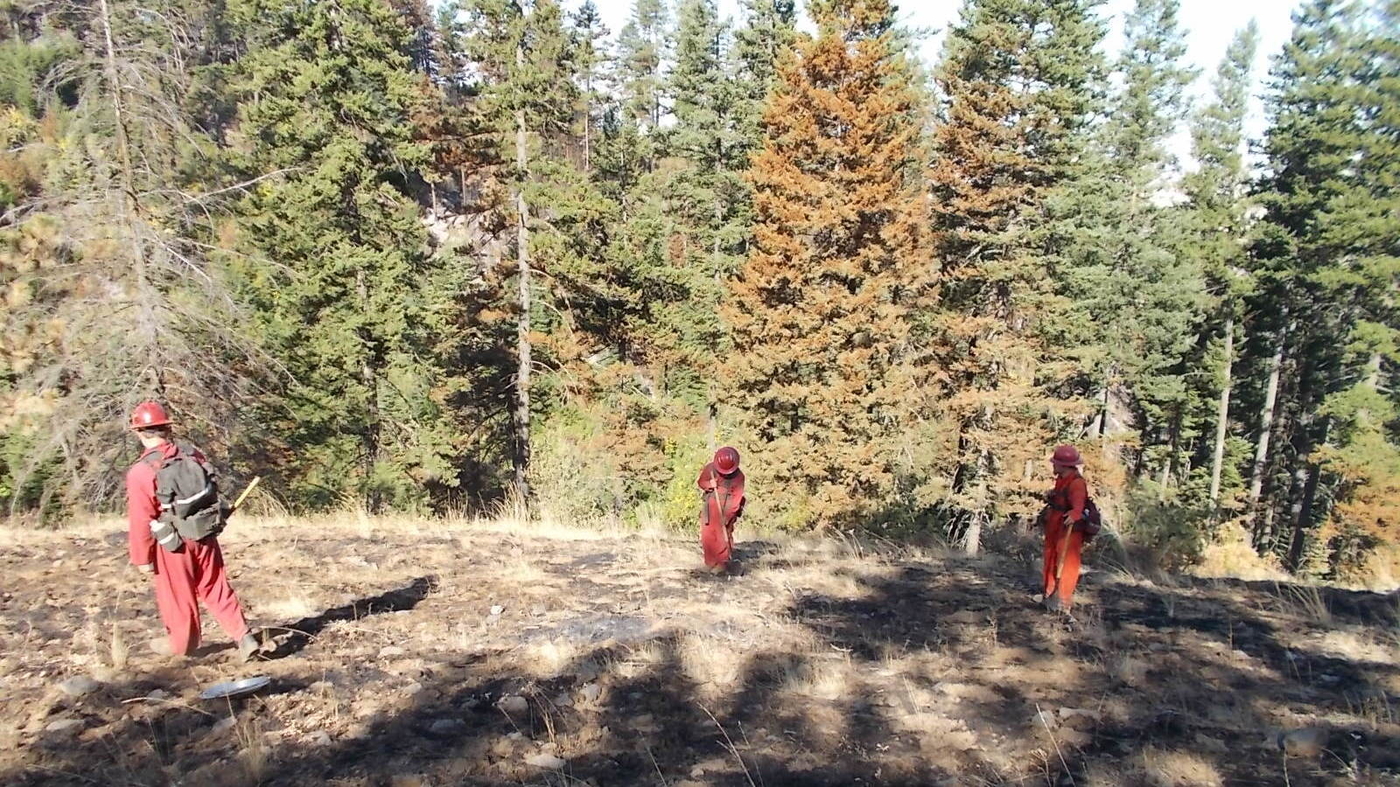 Firefighting Program Offers Juvenile Inmates A Chance To Give Back : NPR