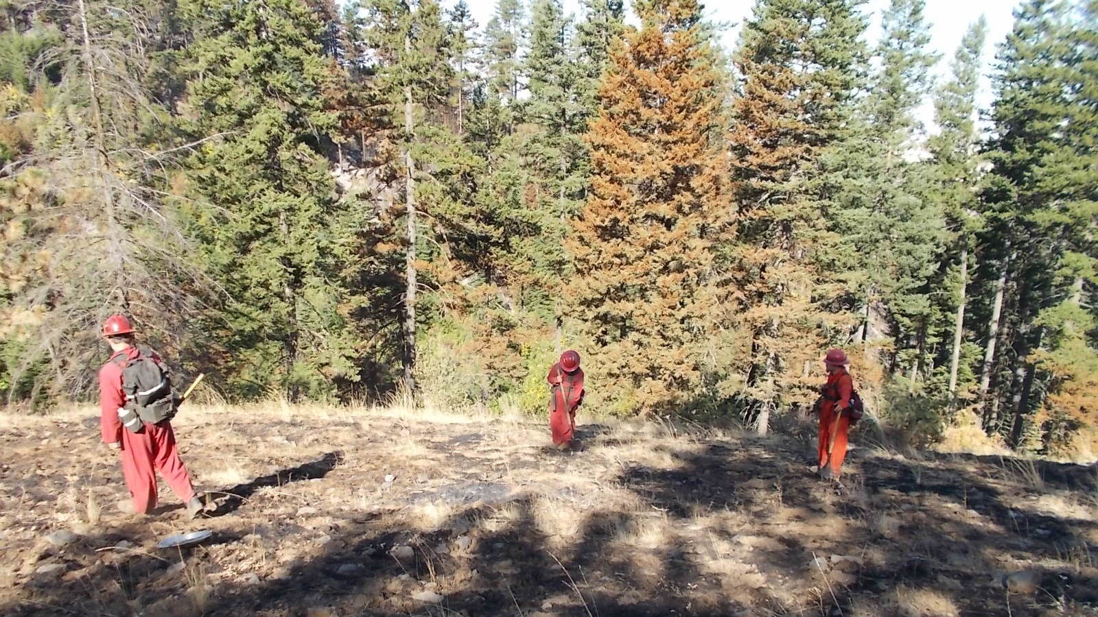 Firefighting Program Offers Juvenile Inmates A Chance To Give Back | WBUR