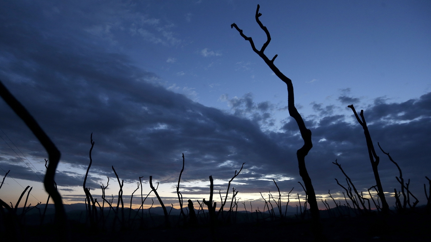 NPR's Environment Coverage: What's Next : NPR Public Editor : NPR