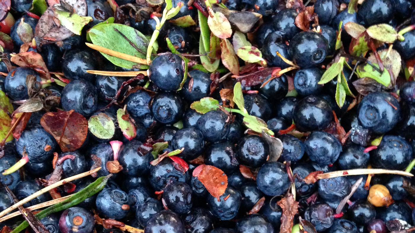 Asian Countries Have Nordic Berry Fever, And Finland Can't Keep Up ...