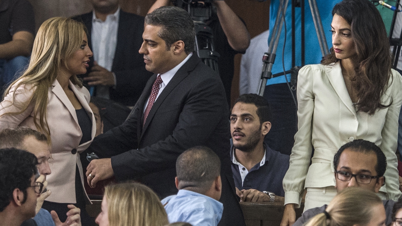 Egyptian Leader Pardons Al Jazeera Journalists In Long-Running Case ...