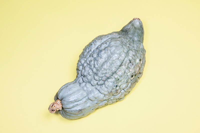 Good Gourd! What's With All The Weird-Looking Squash? : The Salt : NPR
