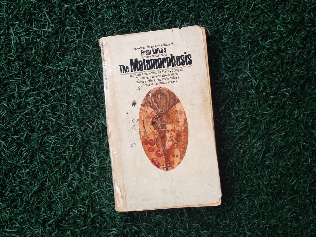 Happy (?) Birthday, Gregor Samsa: 'The Metamorphosis' Turns 100 : NPR