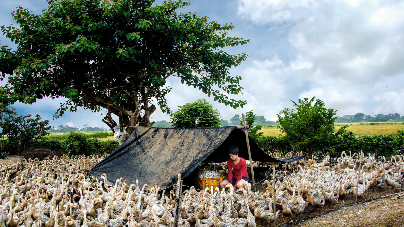 What Does Poverty Look Like? A Photo Contest Has Surprising Answers ...