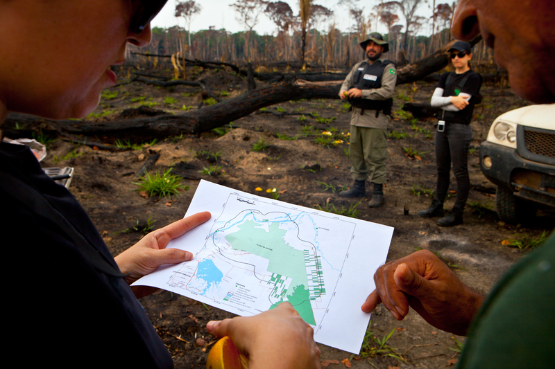 The Claims Are Rosy, But Brazil's Rain Forest Is Still Disappearing : NPR
