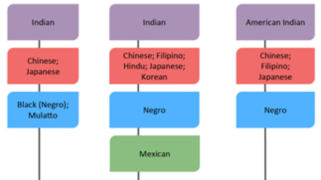 A Graphic Shows How Much The 'Race' Question On The American Census Has ...