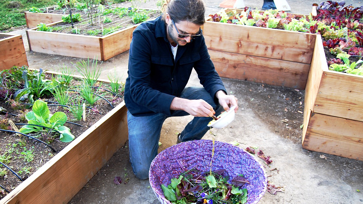 Salad-Making Is Performance Art At The Getty In Los Angeles : The Salt ...