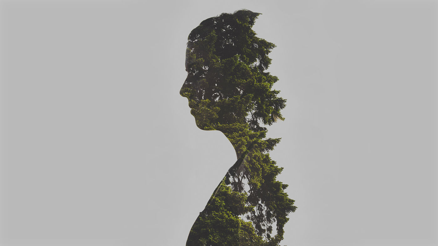 Adaptation : TED Radio Hour : NPR