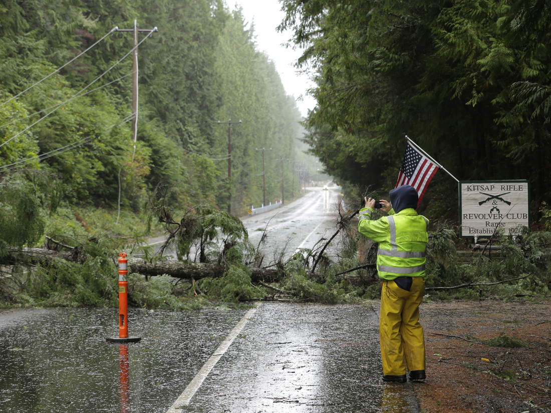 3 Killed By Storm-Felled Trees In Washington State : The Two-Way : NPR