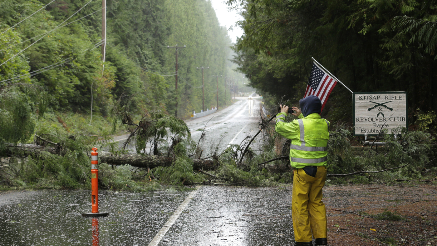 3 Killed By Storm-Felled Trees In Washington State : The Two-Way : NPR