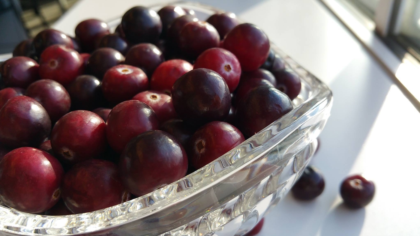 We Tried A Futuristic Cranberry. It Was Fresh And Naturally Sweet : The ...