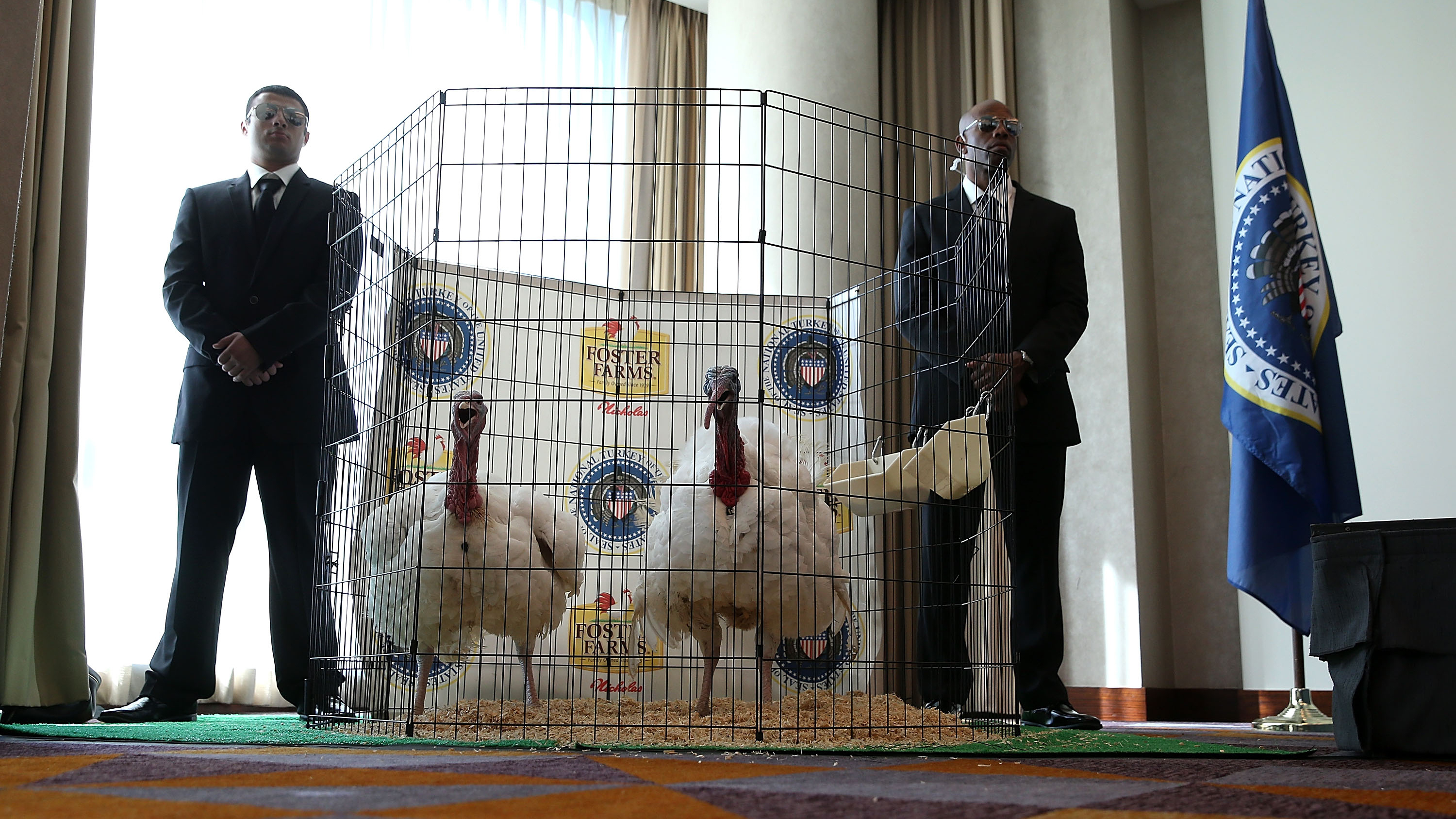 Ahead Of Thanksgiving, Obama To Pardon Another Turkey. The Strange ...