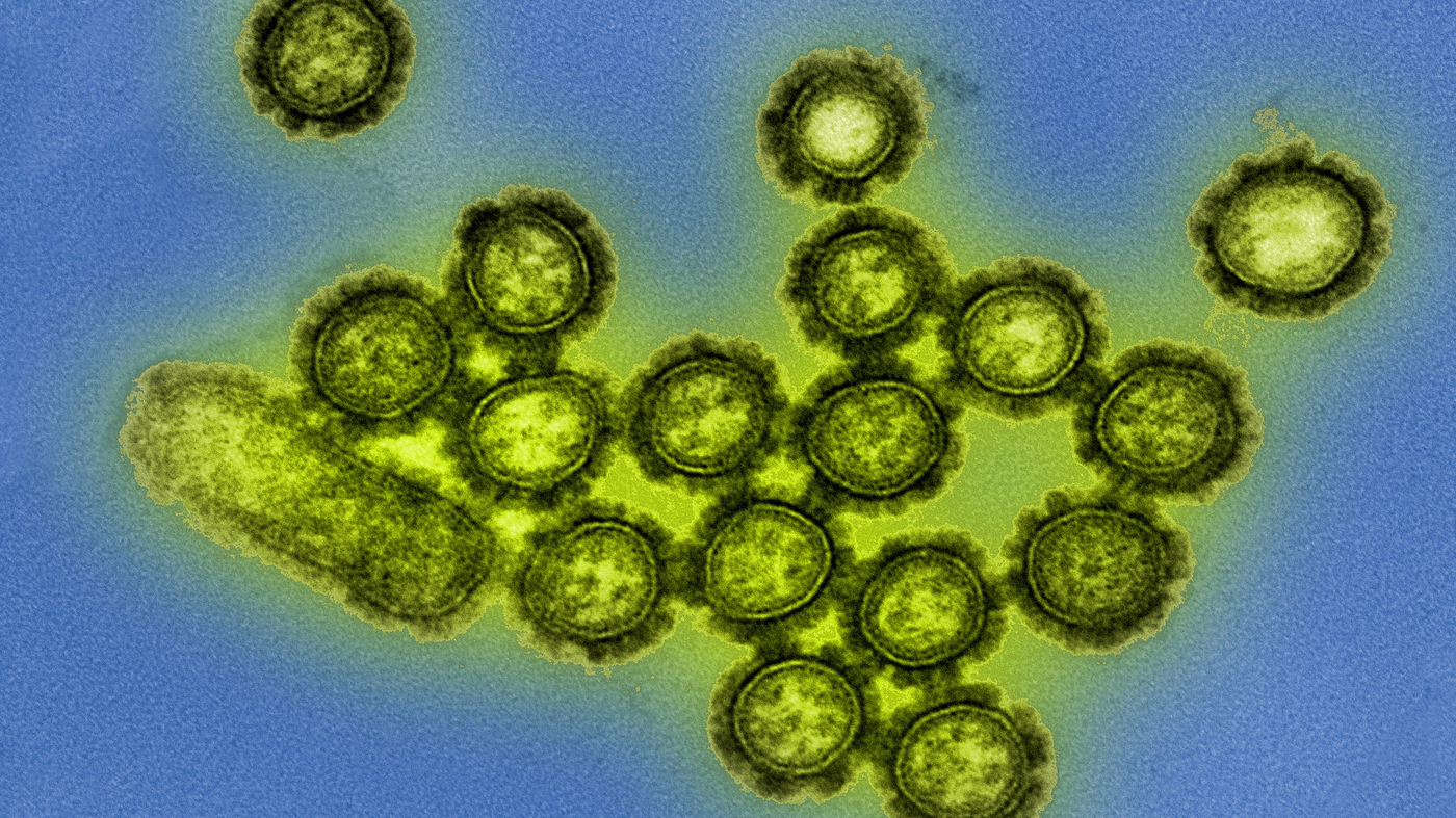 Inside Each Flu Shot, Months Of Virus Tracking And Predictions : Shots ...
