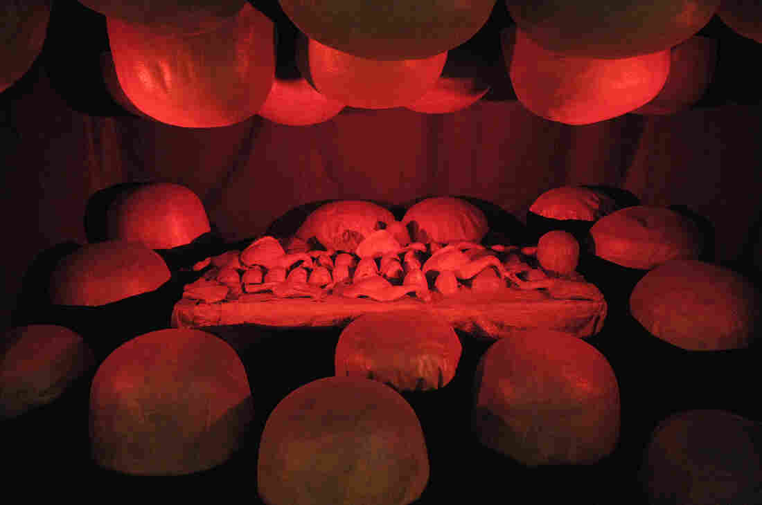 'No Place For Discontent': A History Of The Family Dinner In America ...