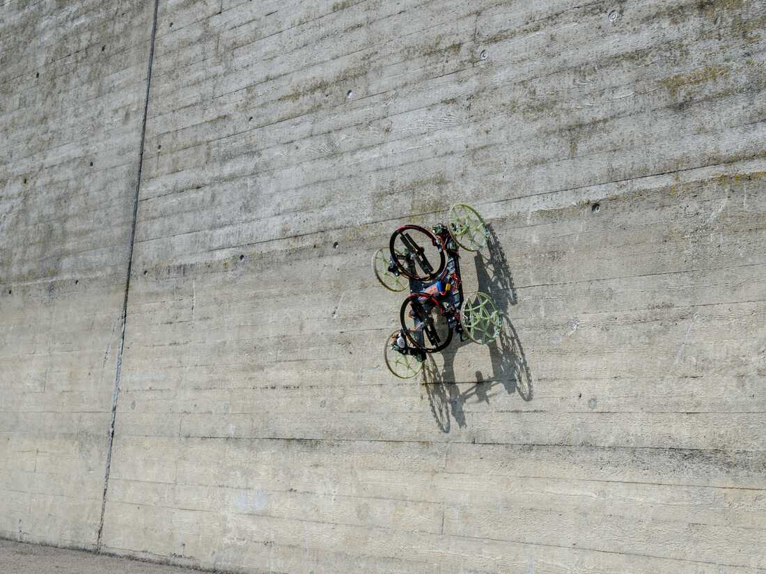 VIDEO: Meet The Bots That Beat The Obstacles : The Two-Way : NPR