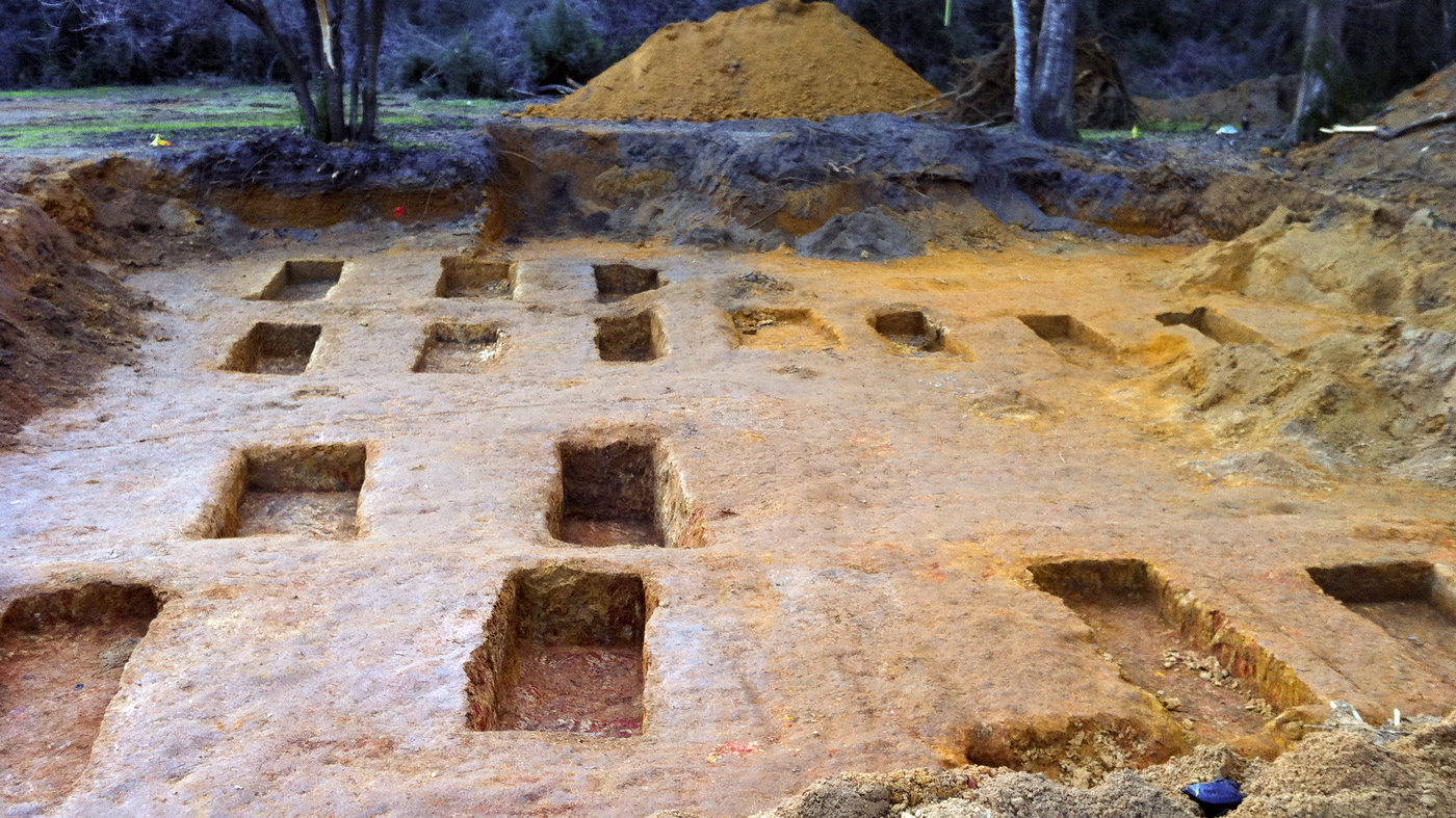 In Final Report, Experts Identify Remains At Notorious Reform School ...