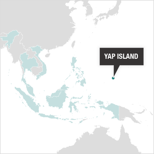 A Timeline Of The Zika Virus: Slow Steps, Then A Major Spread In The ...