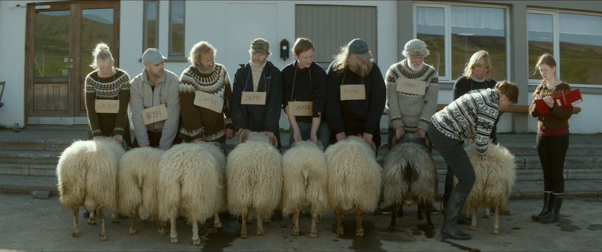 In 'Rams,' 2 Icelandic Brothers Tend Troubles Of Flock And Family : NPR
