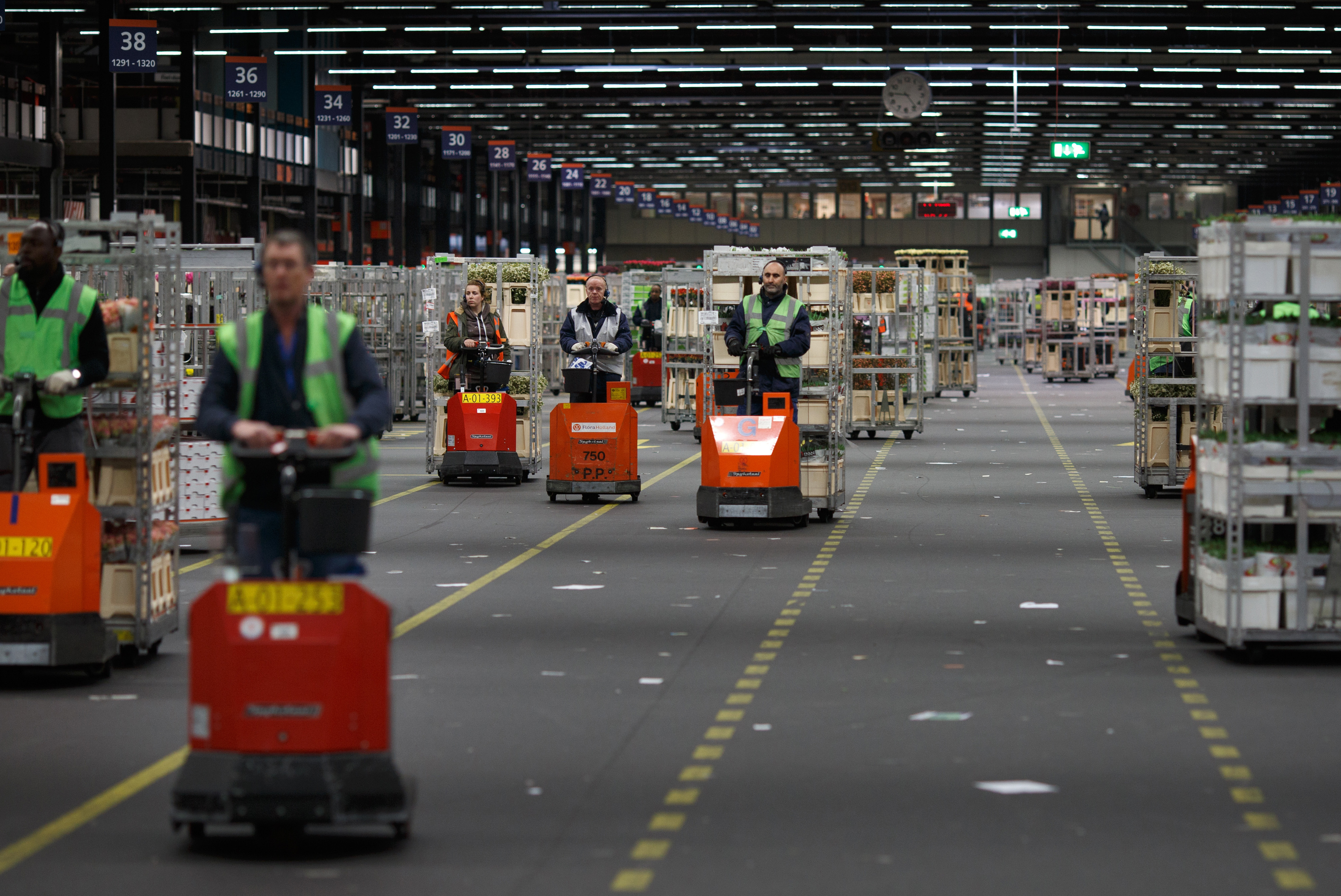 PHOTOS: Where Your Roses (Maybe) Came From | WBUR News