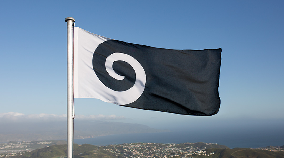 New Zealanders Begin Voting On Whether To Swap Out Their Flag | NCPR News