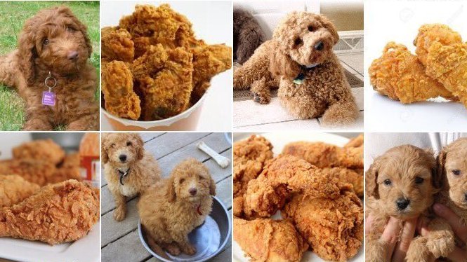 Canine Or Cuisine? This Photo Meme Is Fetching : The Salt : NPR