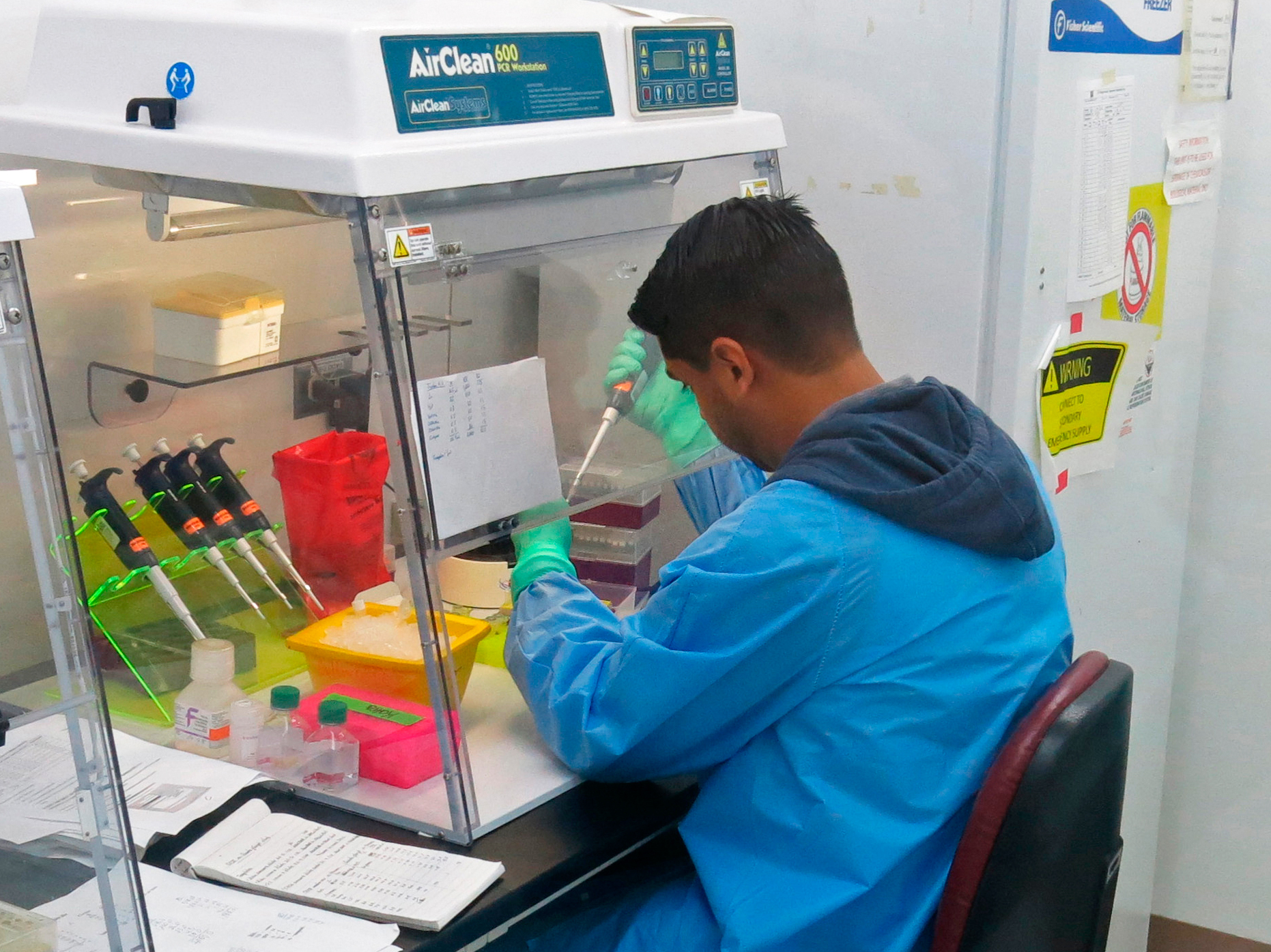 Zika Virus: What Happened When - capradio.org