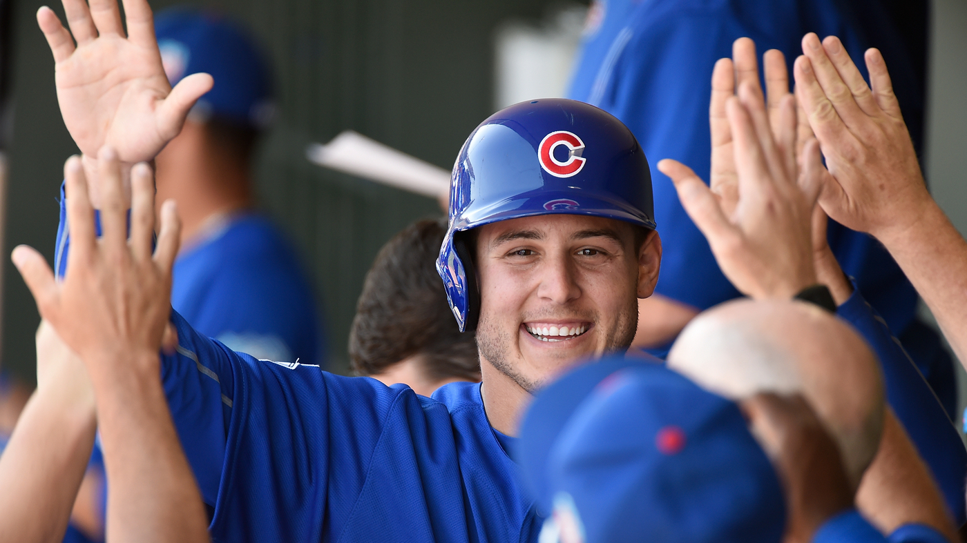 Chicago Cubs Cuddle Actual Cubs At Training Camp : The Two-Way : NPR