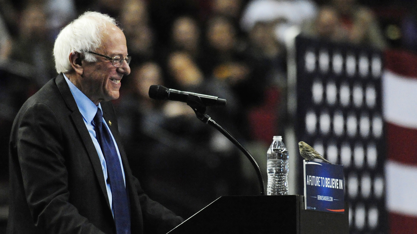 Bernie Sanders Rally Visited By Bird; Twitter Rejoices With # ...