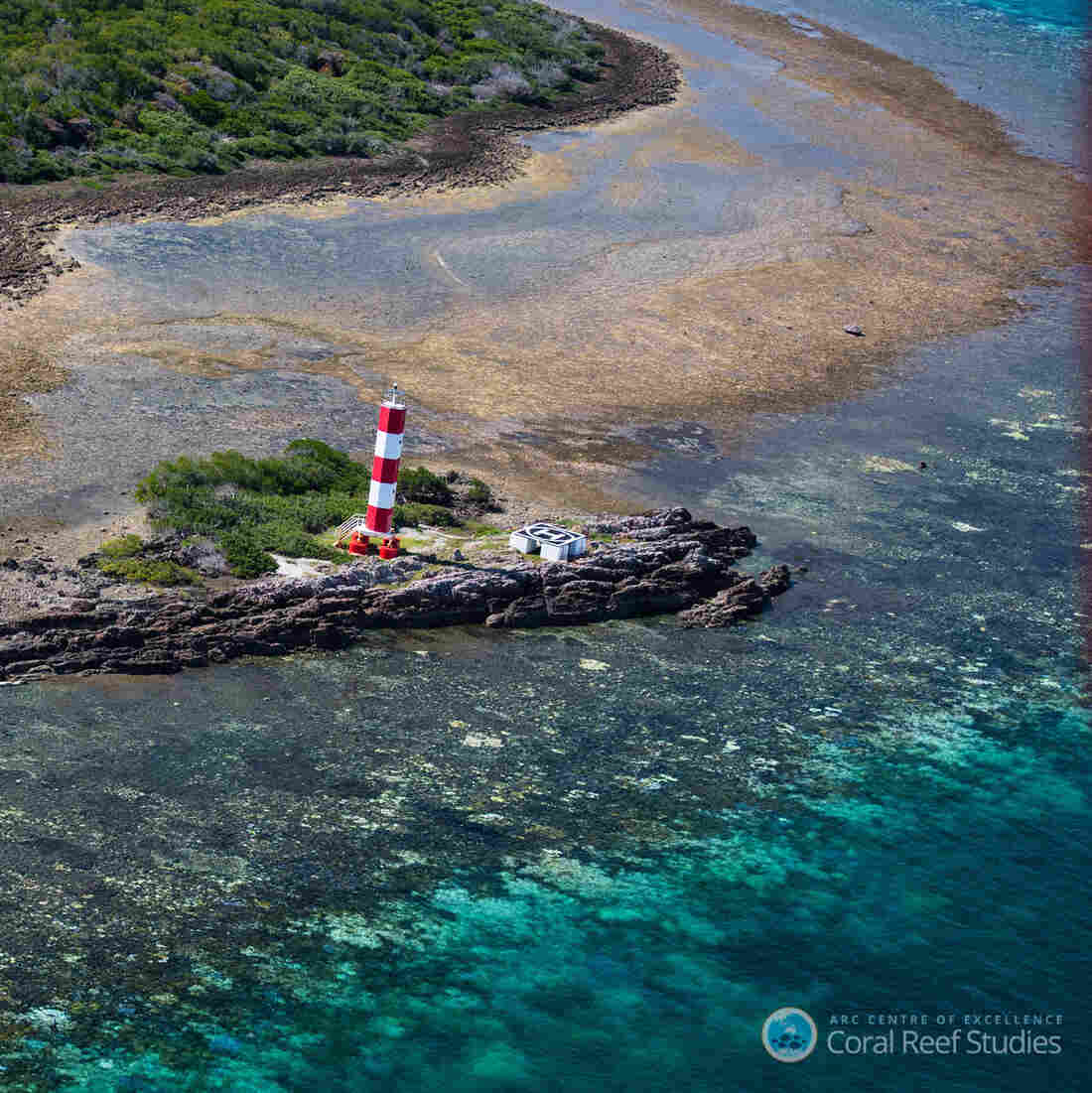 Massive ‘Donut’ Reef Discovered Behind Australia’s Great Barrier Reef ...